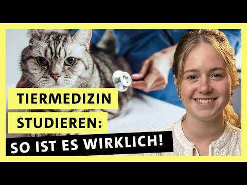 Tiermedizin studieren: Wie hart sind die Prüfungen wirklich? | alpha Uni