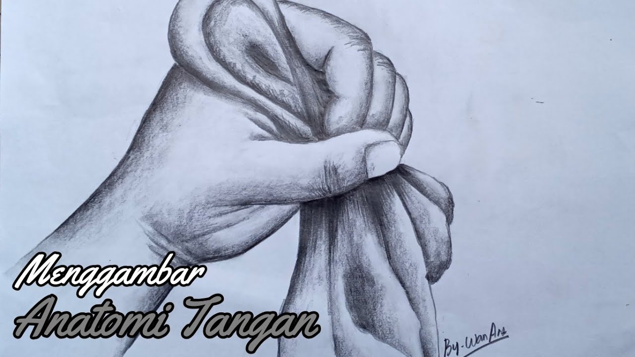 Menggambar Anatomi Tangan ||Anatomy of hands - YouTube