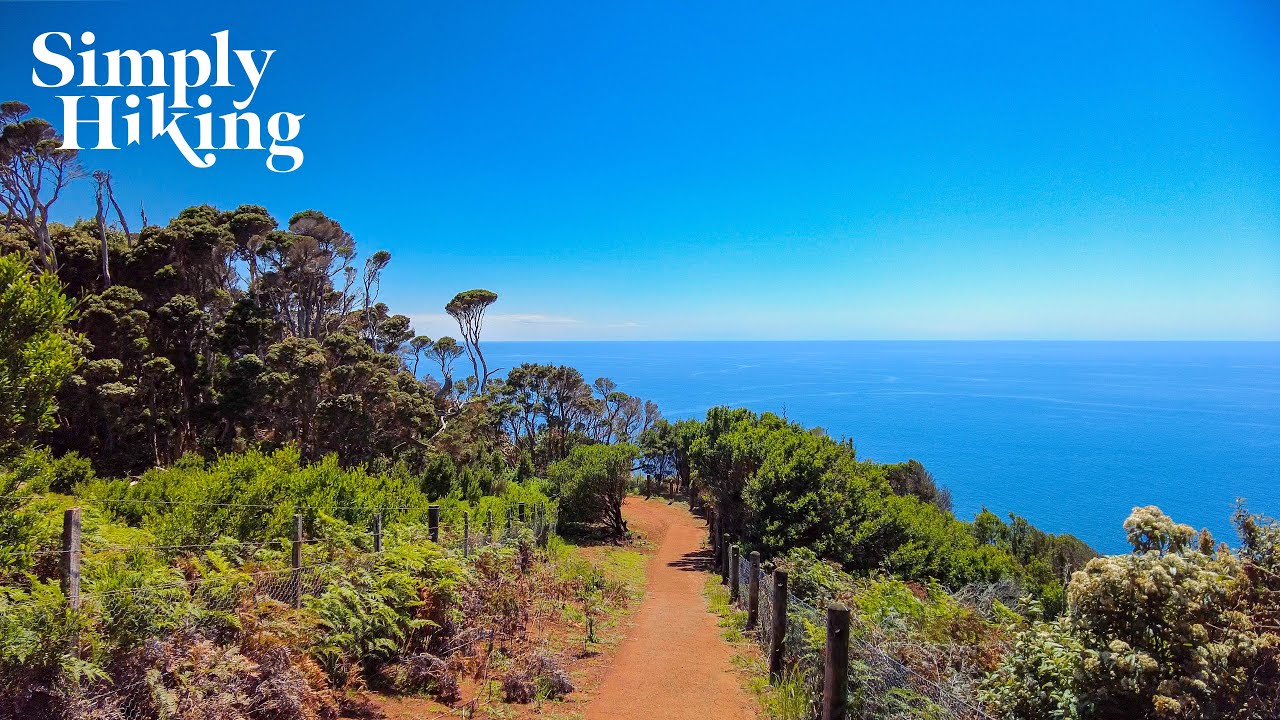 Coastal Virtual Hike: Breathtaking Ocean Views for Relaxation | Nature ...