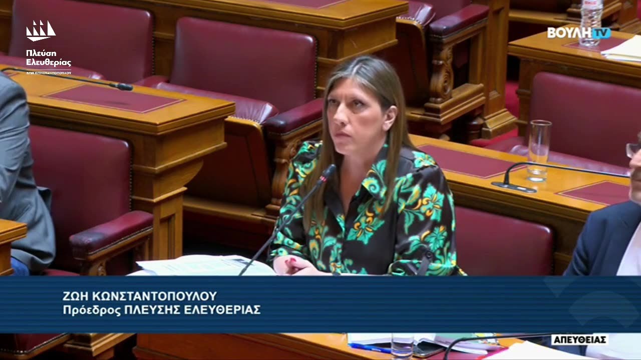 Η τοποθέτηση της Ζωής Κωνσταντοπούλου στην Επιτροπή Θεσμών και ...