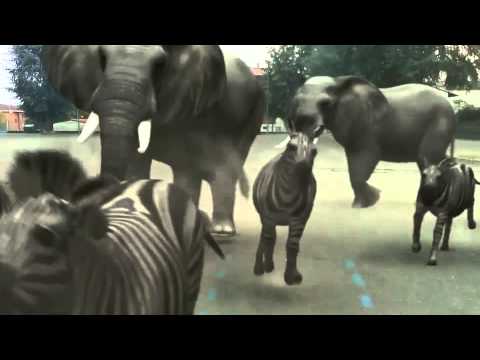 Fxguru jumanji (animals attack)
