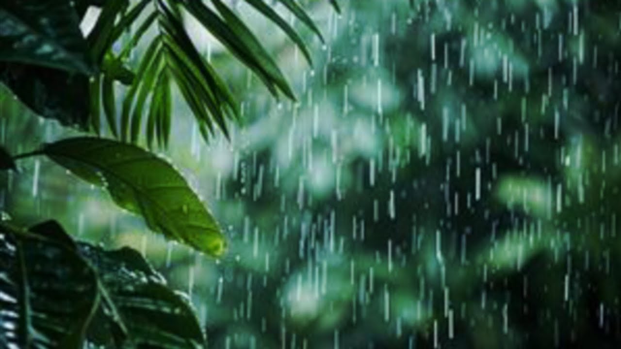 Sleep Better on Rainy Night, The Soft Rain Sound for Relaxation, Fill ...