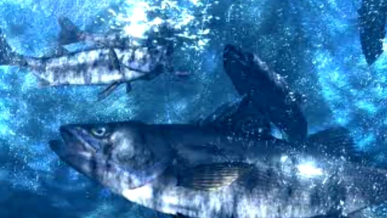 Fish Eyes II [Psx] - Intro - YouTube