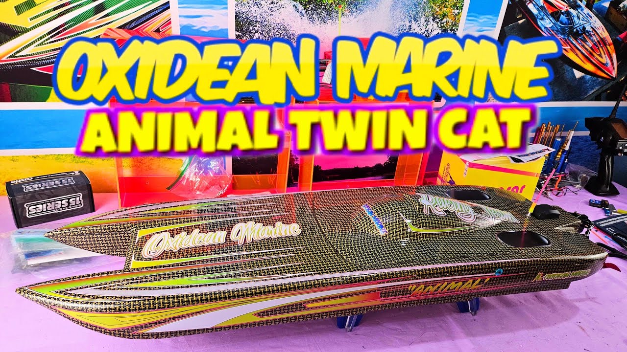 Animal Twin Cat Rc Boat for a customer! - YouTube