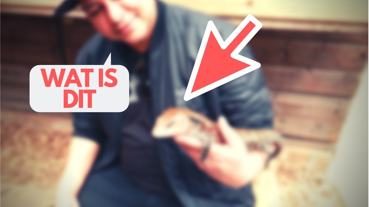 Wat Is Dit - Vlog #29 - YouTube