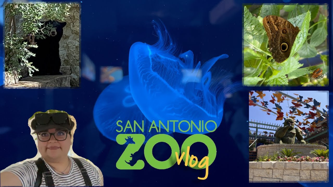 san antonio zoo | vlog | too hot to see the whole zoo - YouTube