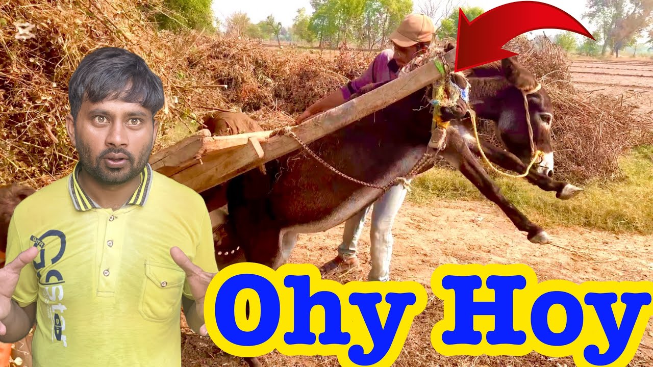 Ohy hoy Kia Ho ghya ||hamza ghouri Sy volgs - YouTube