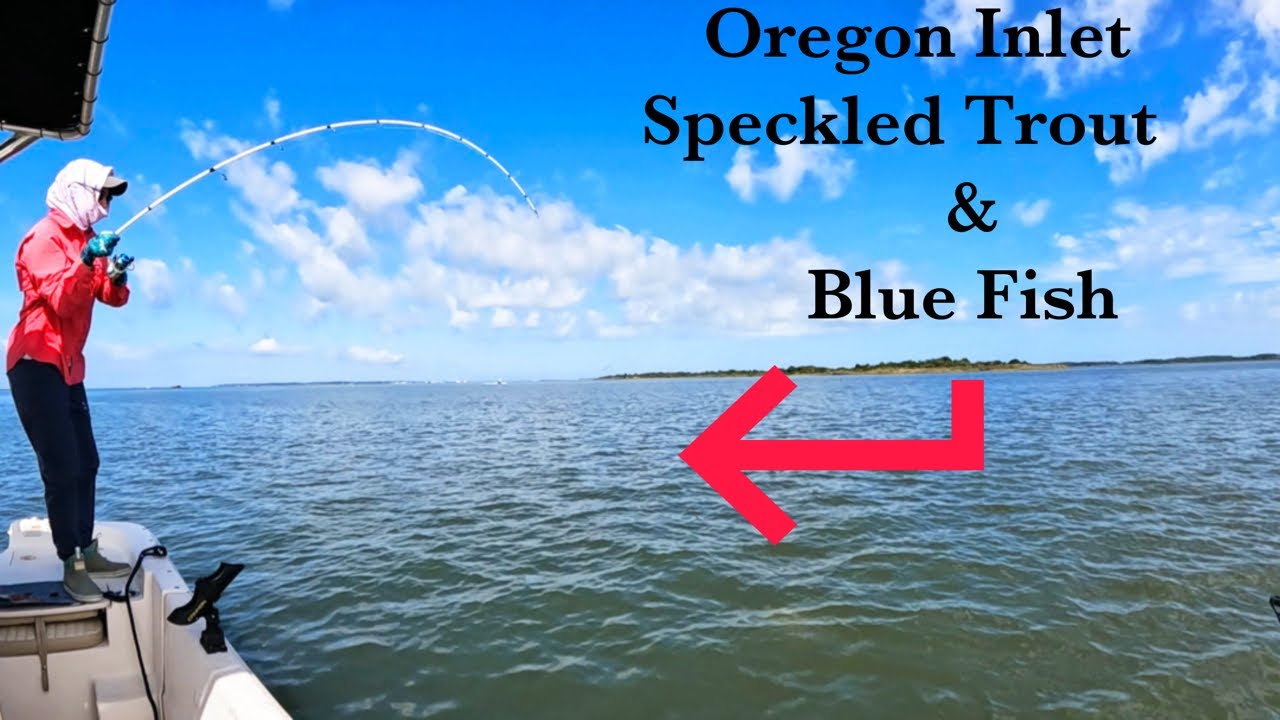 Non-Stop ACTION catching SPECKLED TROUT & Bluefish fishing out of ...