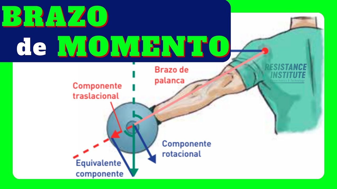 Brazo De Palanca: Qué Es, Cómo Calcularlo, Ejemplos – JKEK