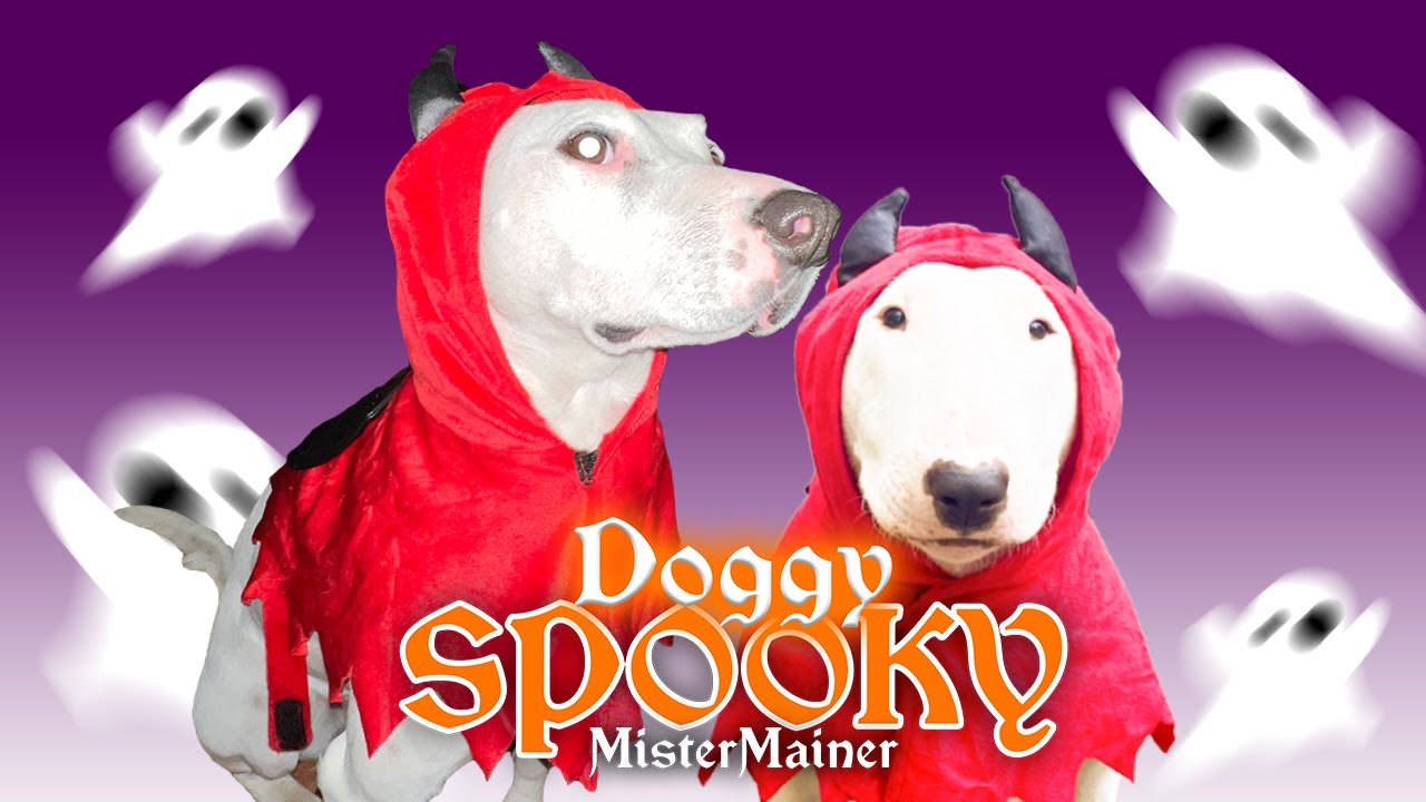 (Official) Doggy Spooky Lyric Video | MisterMainer - YouTube
