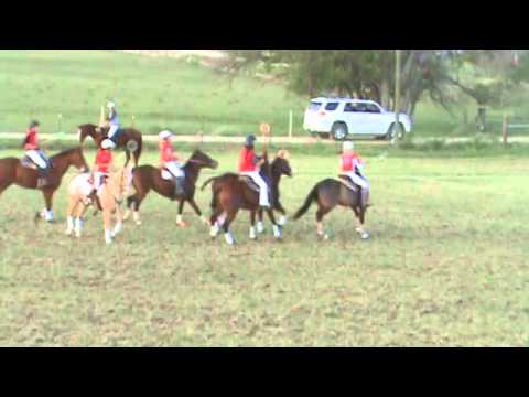 Polocrosse Instruction, Loose ball situations - YouTube