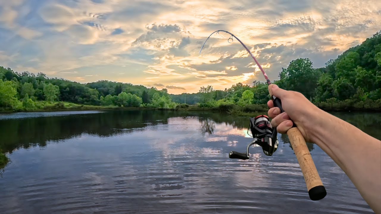 What’s Living in this Forgotten Pond?!?! (Strange Catch) - YouTube