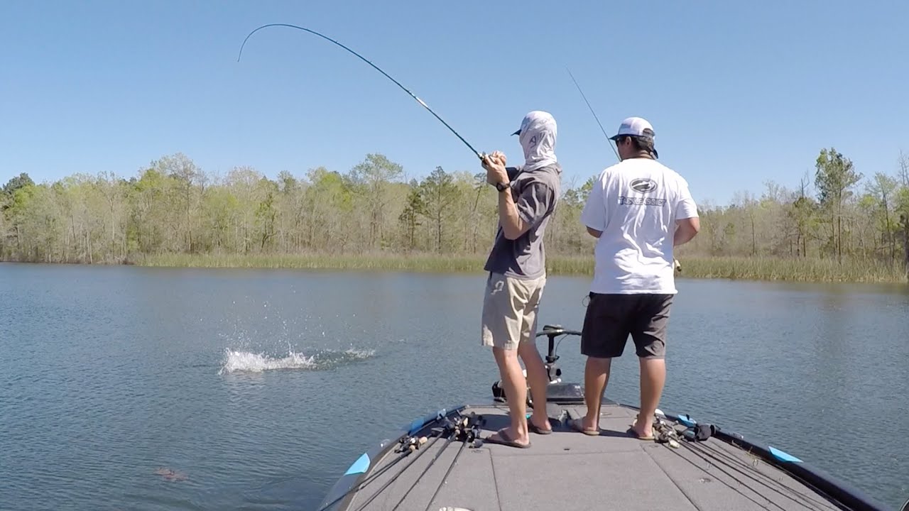 Sight Fishing for Bass in Clear Water - YouTube