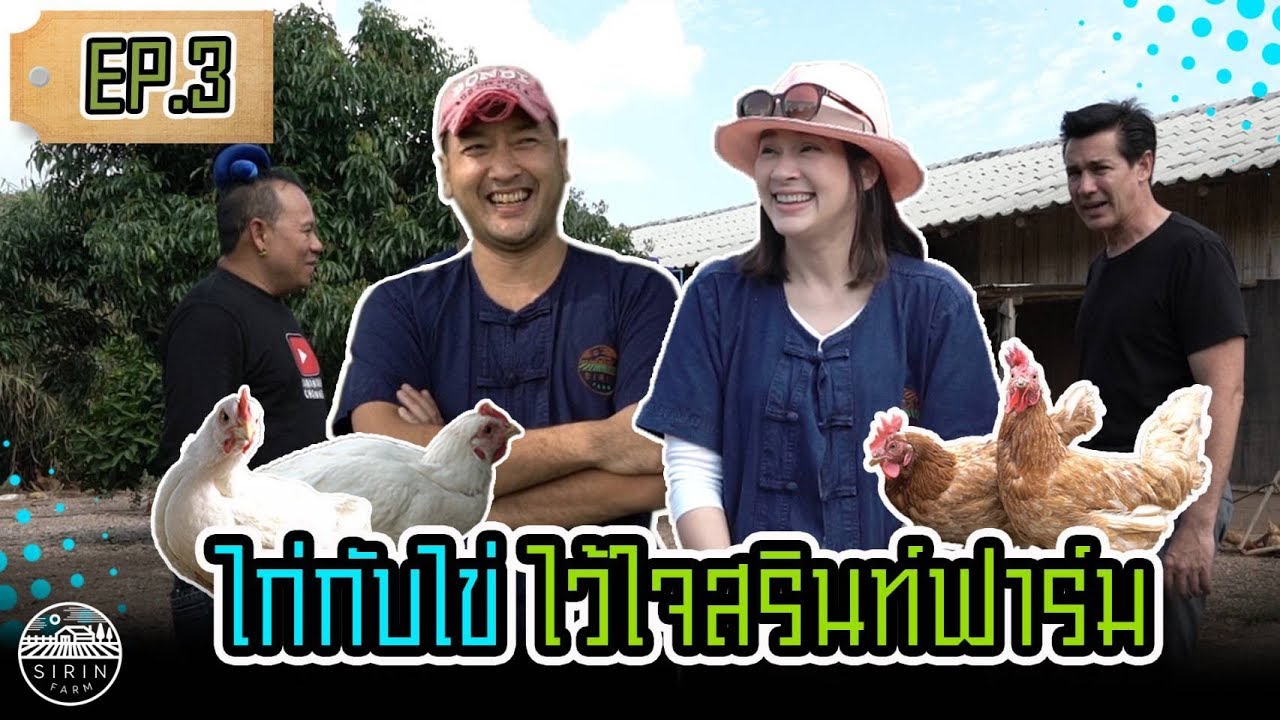 เรื่องไก่กับไข่ ไว้ใจสิรินทร์ฟาร์ม - Best Organic Eggs & Free Range ...