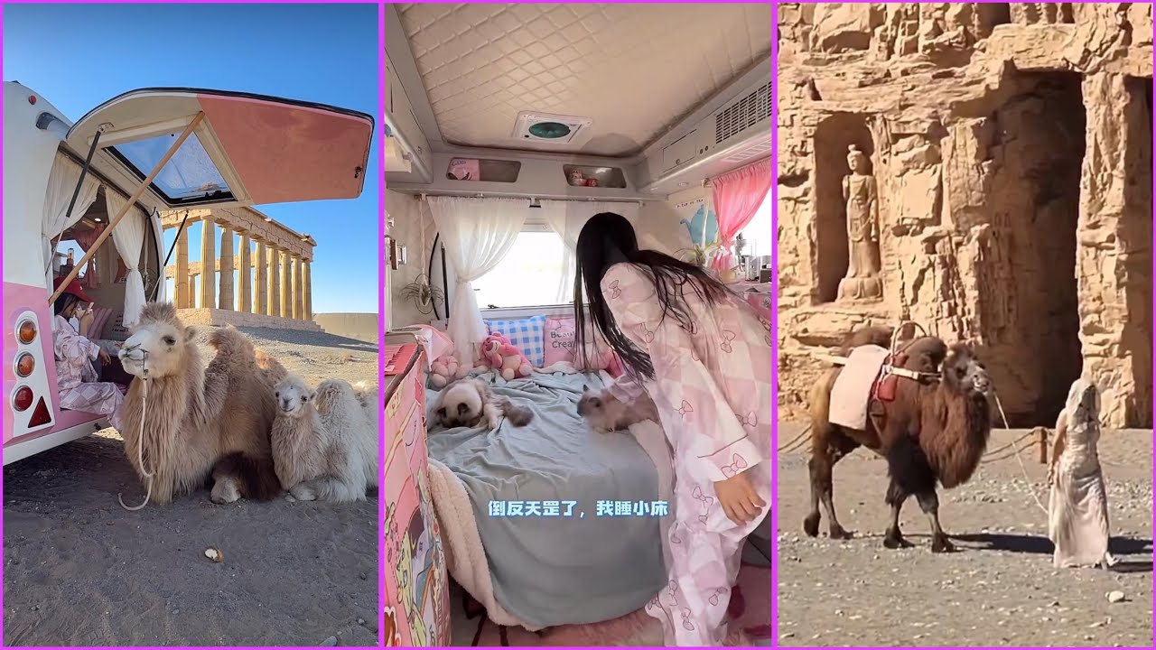 Doomsday RV Life🎀| A Girl Living Alone Spends The Night In A Mysterious ...