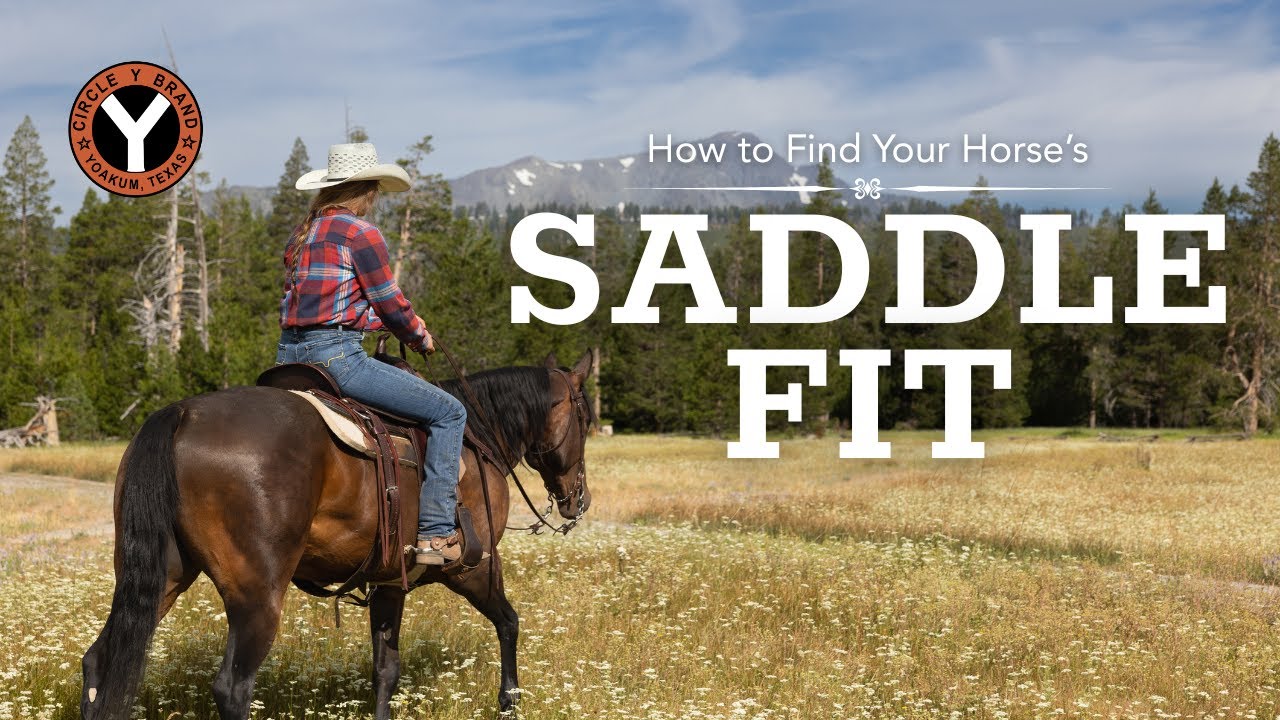 How to Find the Correct Saddle Fit for Your Horse - YouTube