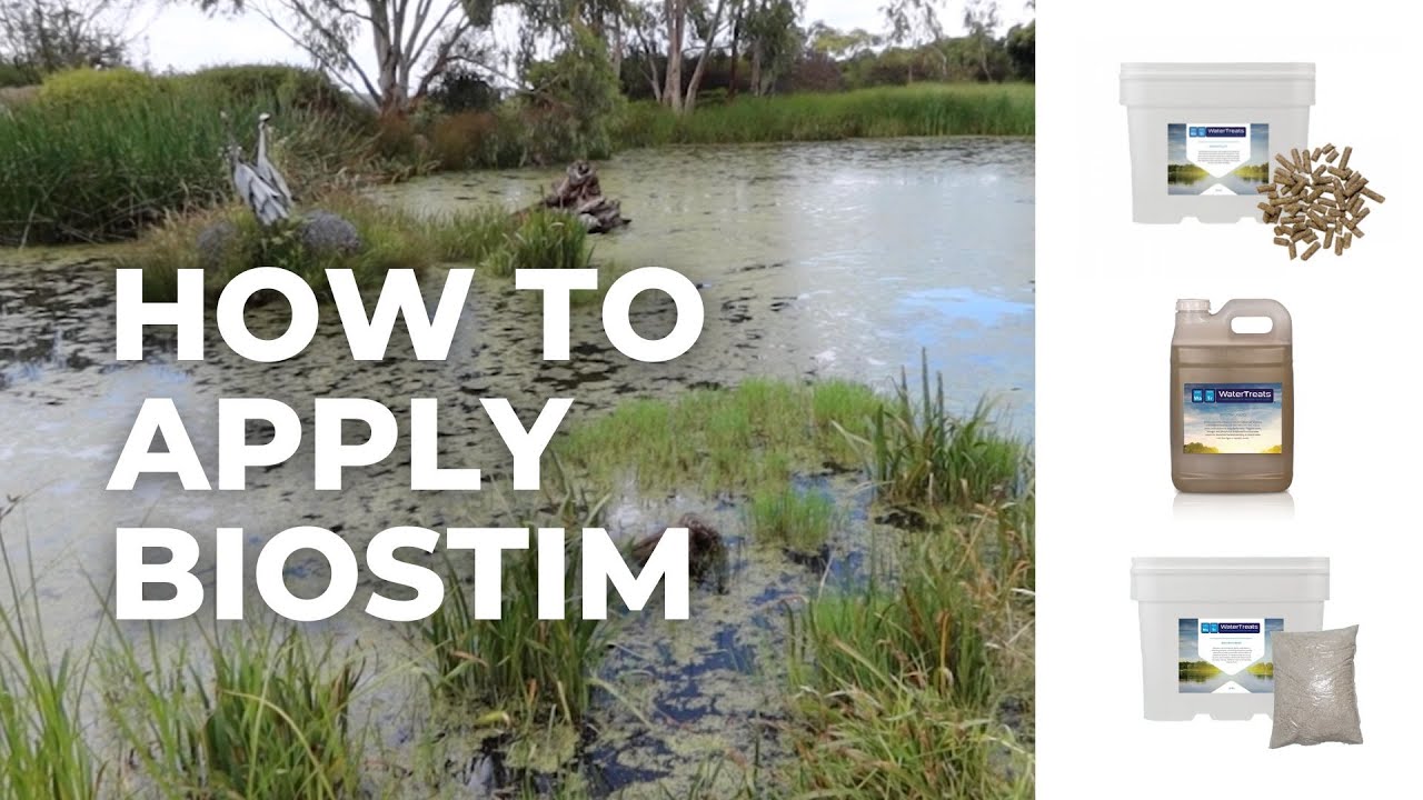 How to Apply Biostim to Dam Water - YouTube