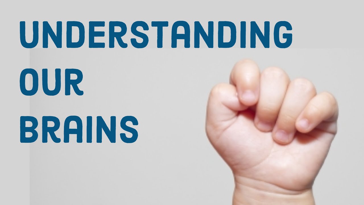 Using the hand brain model - YouTube