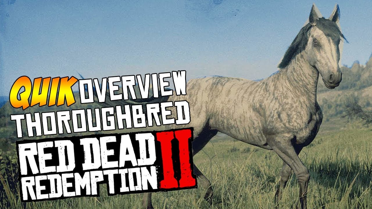 Red Dead Redemption 2 Horses - Thoroughbred Overview - YouTube