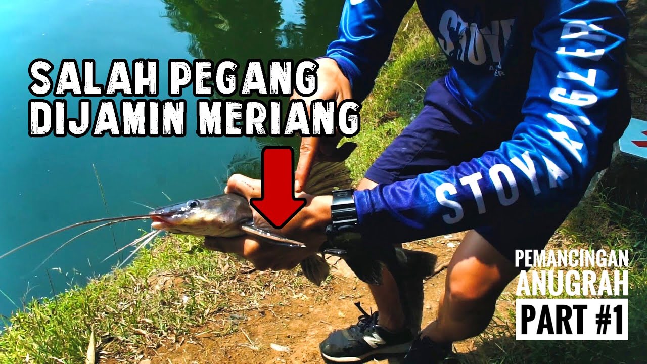 Casting ikan predator di pemancingan ANUGRAH cikarang . #newnormal ...