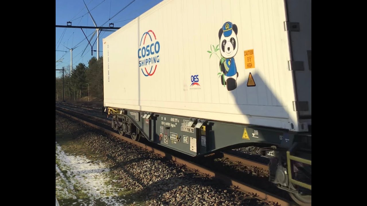 Funny Panda on last Cosco shipping Container on container train, with ...