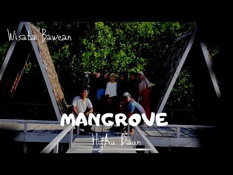 Wisata Bawean || Keindahan Mangrove Hijau daun pulau Bawean II Healing Gaes Dapur