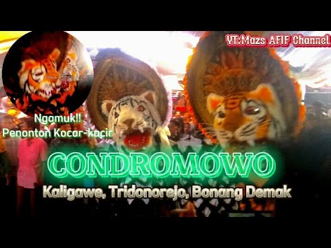 NGAMUKK!! Barongan Condromowo Live Kaligawe lor, Tridonorejo,Bonang ...