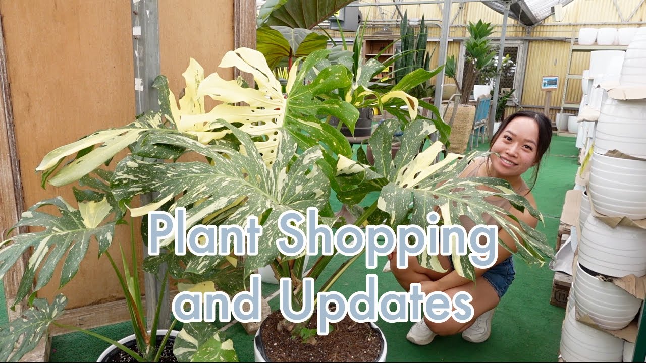 Embarrassing Myself While Plant Shopping and Home Build Updates - YouTube