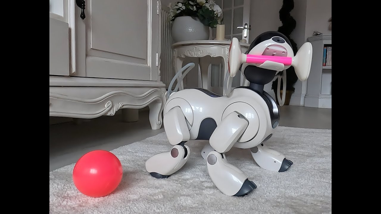 Lydia my Sony Aibo ERS7 robot dog, plays with her ball and bone. - YouTube