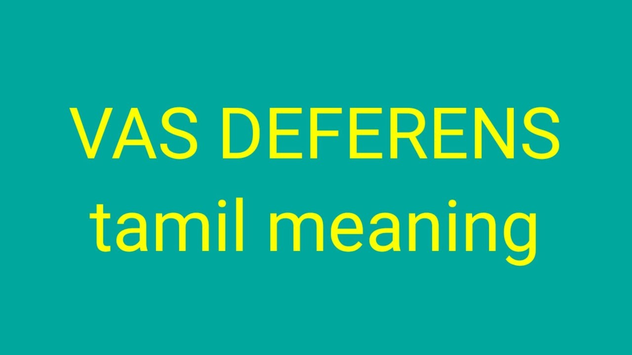 VAS DEFERENS Tamil Meaning sasikumar YouTube