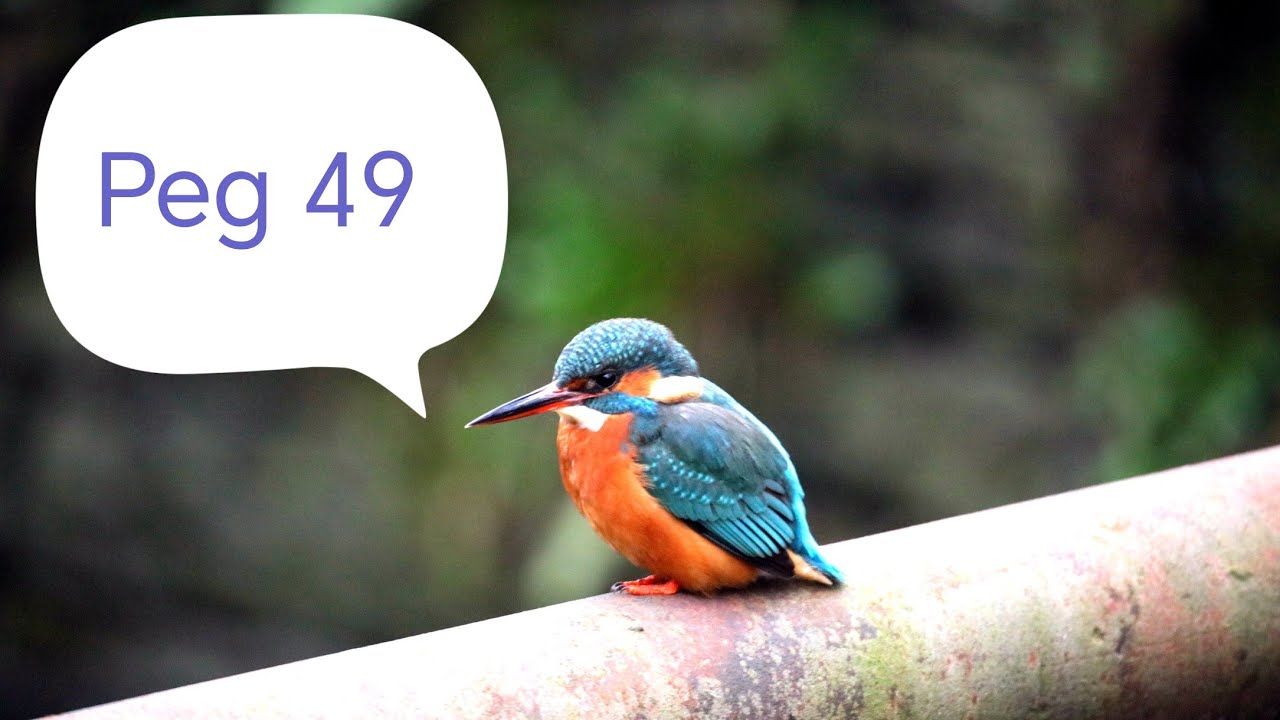 Ivy House Lakes - Round 6- Kingfisher - YouTube