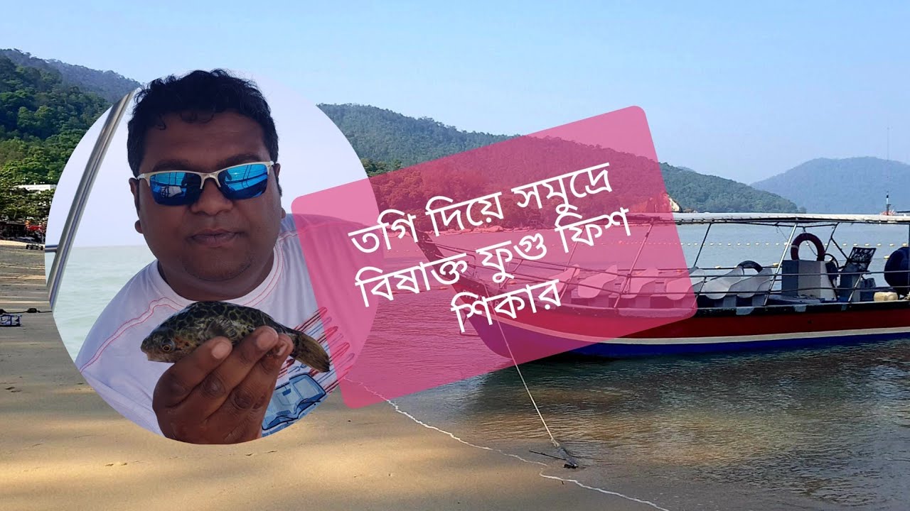 Amazing Tiger Puffer Fish Fugu Snapper Whitebait Primitive Sea Fishing ...