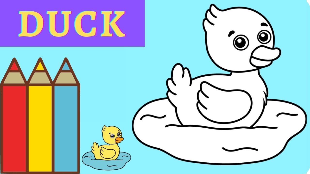 Duck ll Colouring Duck ll on Screen ll for kids - YouTube