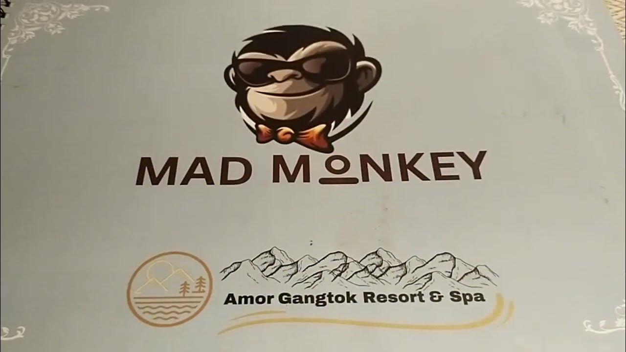 Inside Mad Monkey YouTube inside-mad-monkey-youtube