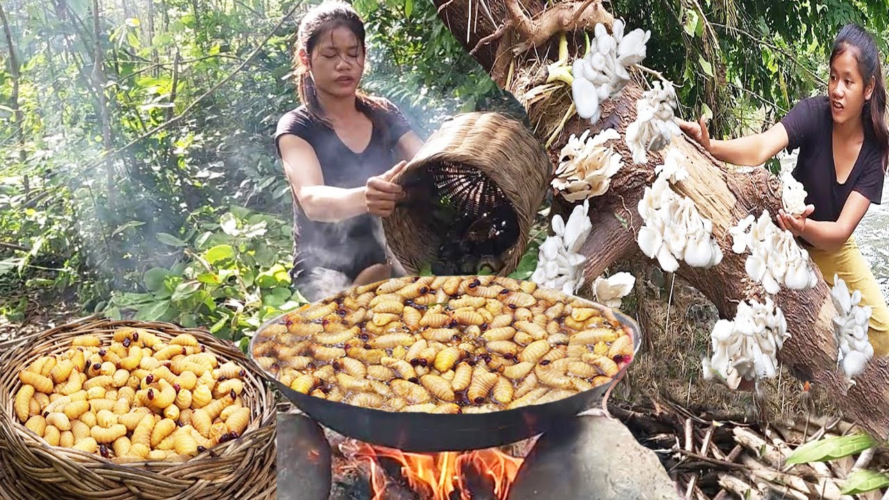 Found lots Swarm of Coconut worms for food in jungle .Grilled worm ...