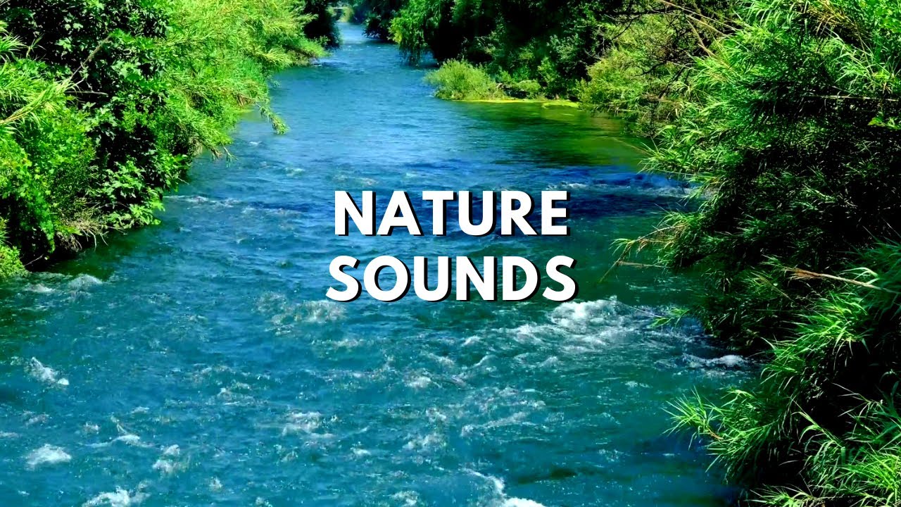 Soothing Nature Sounds: Relaxing Scenes for Sleep and Stress Relief ...