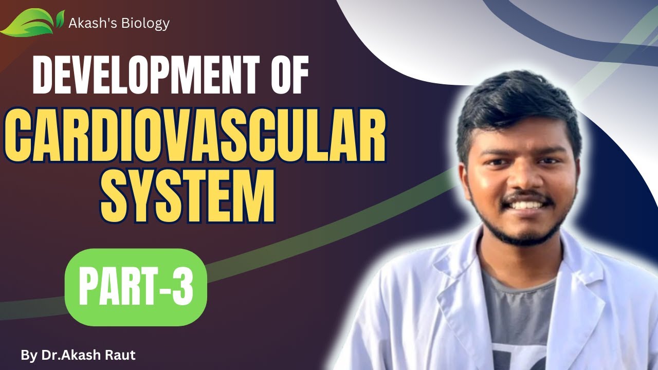 Development of Sinus Venous// Cardiovascular Development Embryology ...