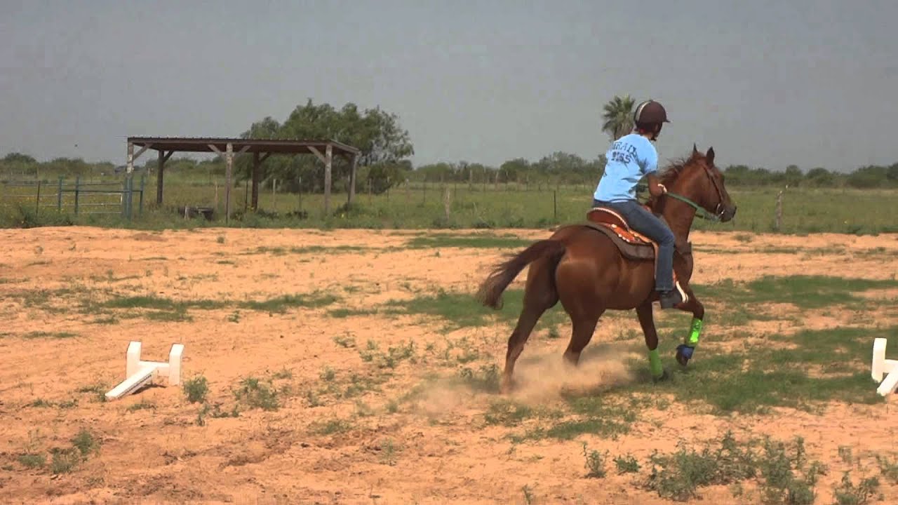 Barrel Racing Fail: This Will Make You Laugh!!! - YouTube