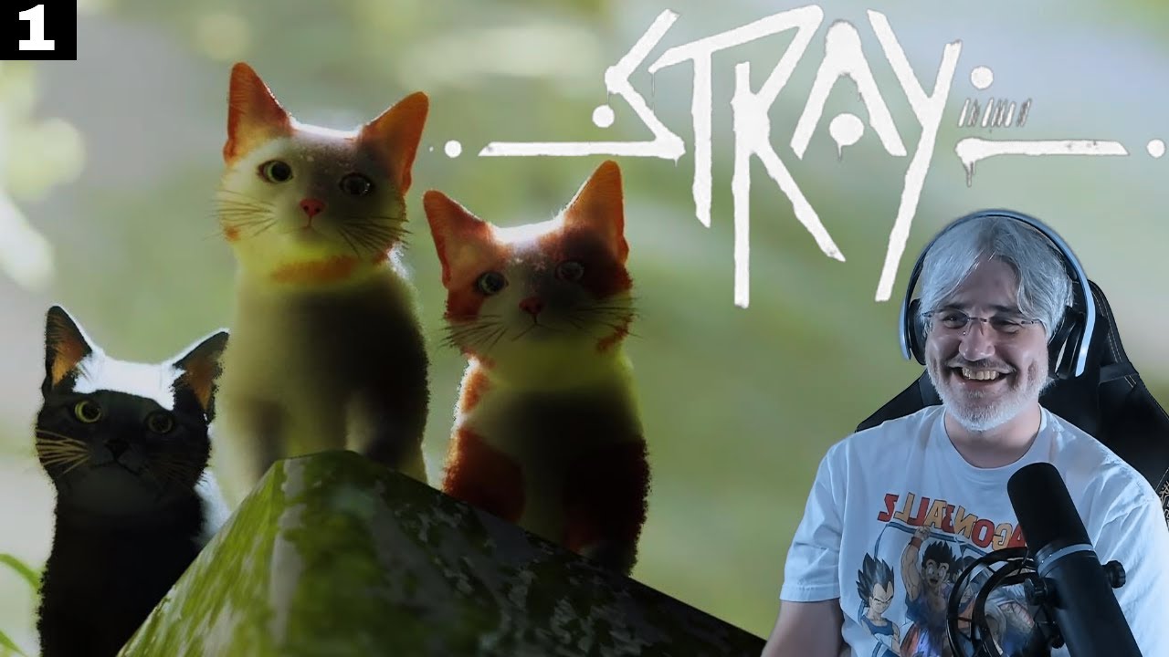 Alright Meow - Stray Let's Play 4K (1) - YouTube