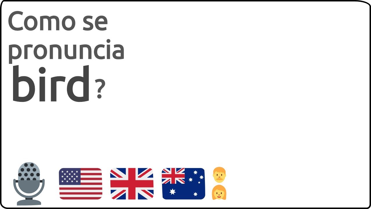 Como se pronuncia bird en ingles 🇺🇸 🇬🇧 🇦🇺 - YouTube
