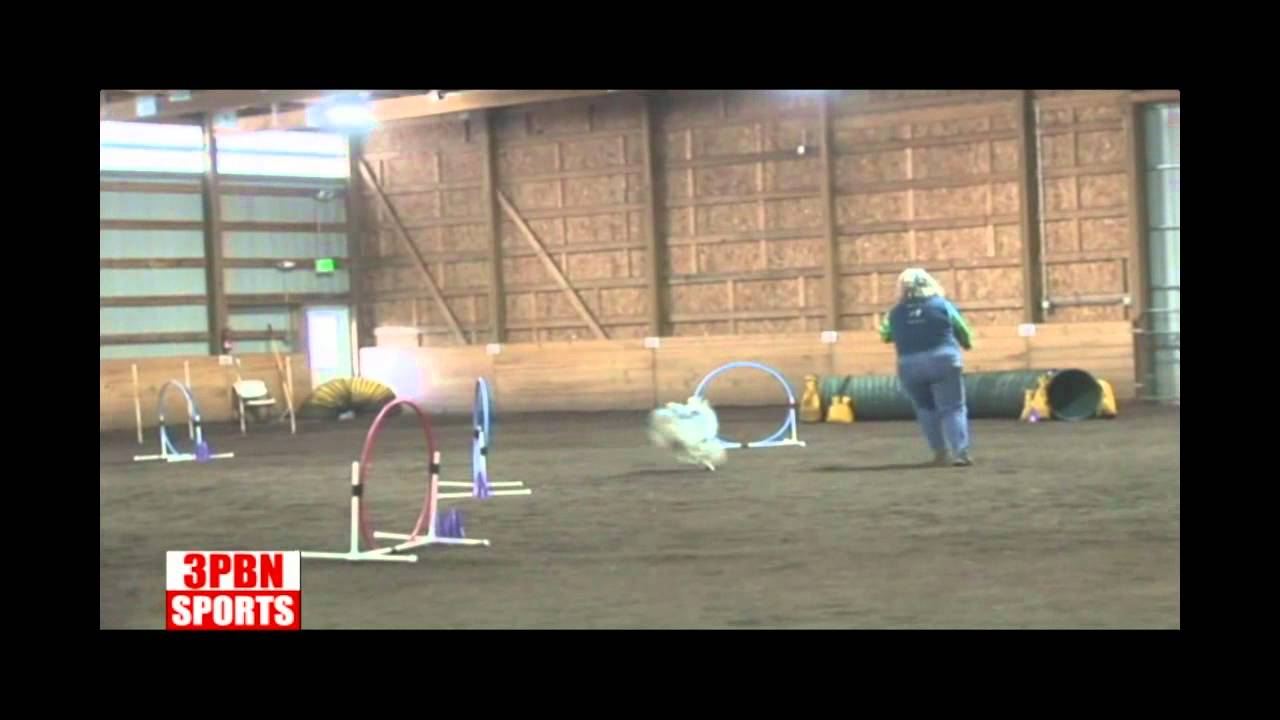 Merlin Elite Weavers ZAP 11/25/11 - YouTube