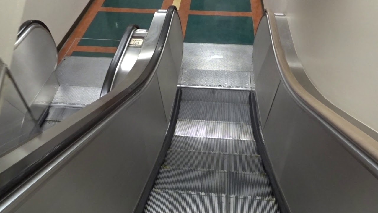 Haughton Escalators - Delmar T. Oviatt Library - CSUN - Northridge, CA ...