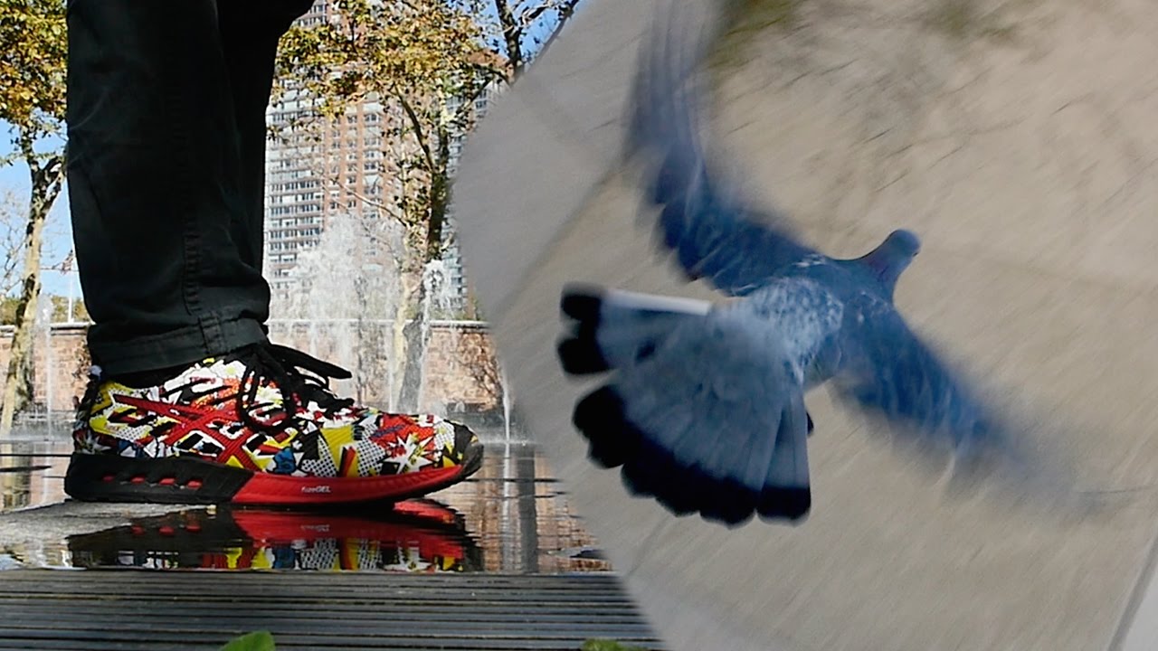 Chasing Birds at Battery Park - slow motion - YouTube