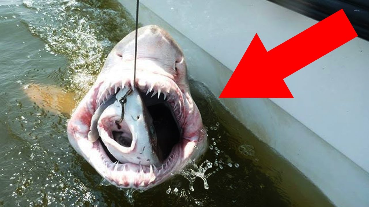 Photos That Look Fake But Are Actually Real - YouTube