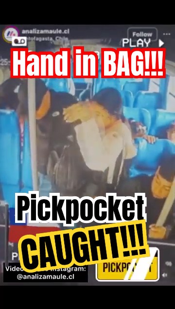 pickpocket caught on camera cell phone stolen on bus - YouTube