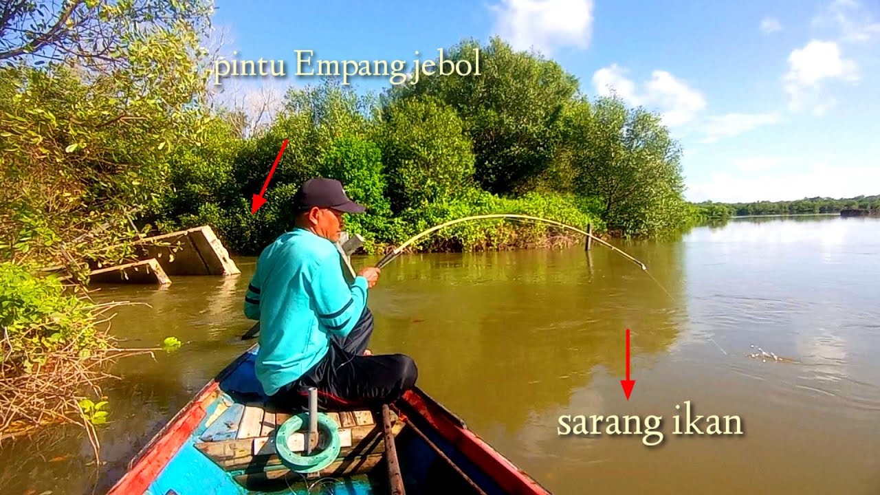 Mancing di depan pintu Empang jebol...sarang kawanan ikan trakullu ...