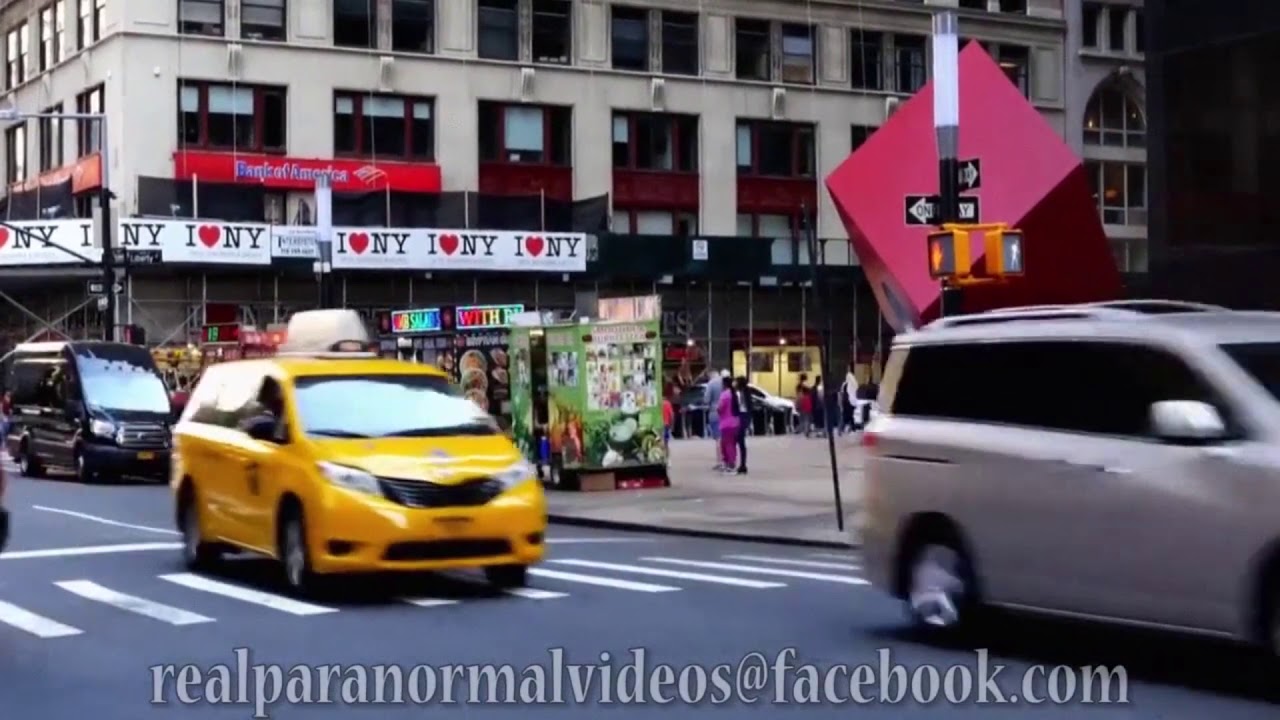 SCP-2699 Alive Dinosaur Raptor spotted in NYC (SCP Animation) - YouTube