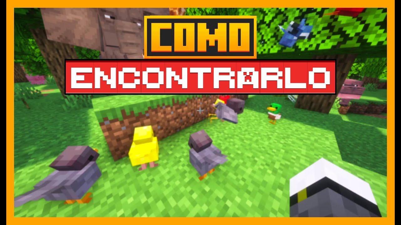 CÓMO ENCONTRAR y DOMESTICAR BIRDS en NATURALIST MINECRAFT - YouTube