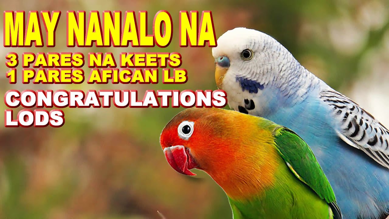 MAY NANALO NA MGA LODS SANA MAPARRAMI MO LODS - YouTube