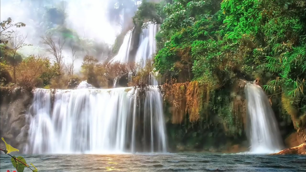The sound of waterfall in deep forest,white noise,sleep, relaxation ...